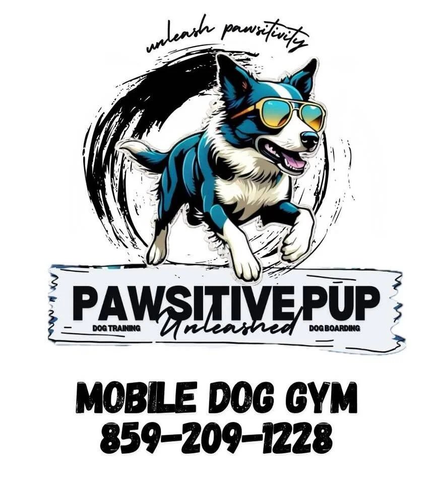 The Mobile Dog Gym – Pawsitive Pup Unleashed